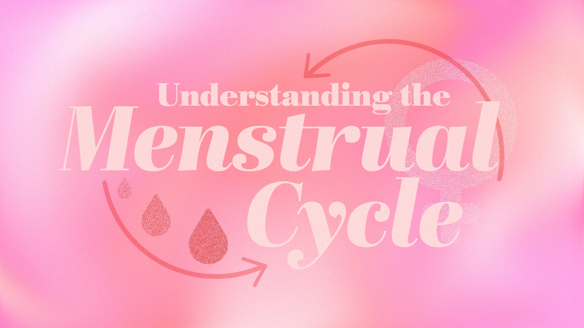 Understanding the Menstrual Cycle – ONE SOL™ | Natural Plant Based ...