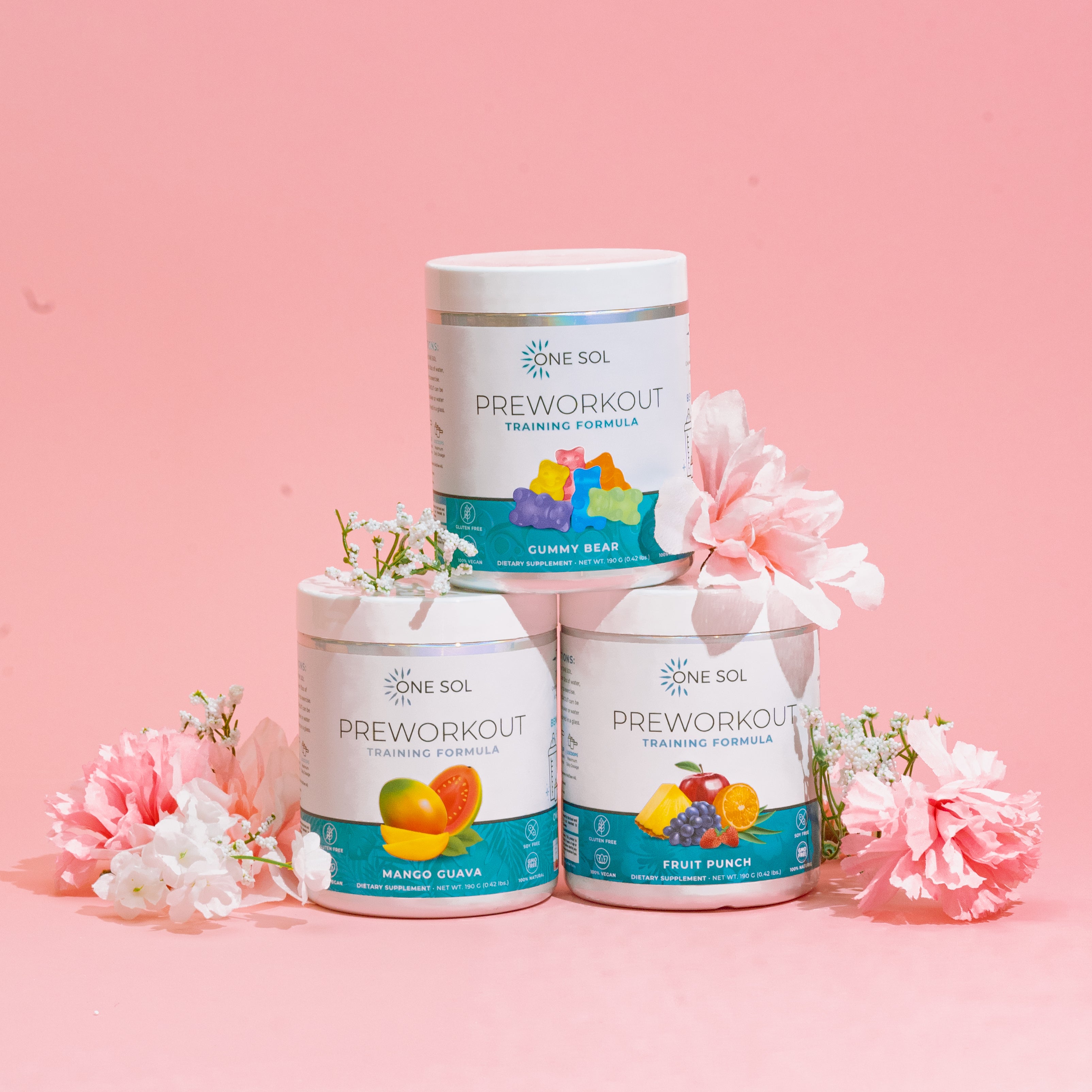 Pre Workout Training Formula (3pk) – ONE SOL™ | Natural Plant Based ...