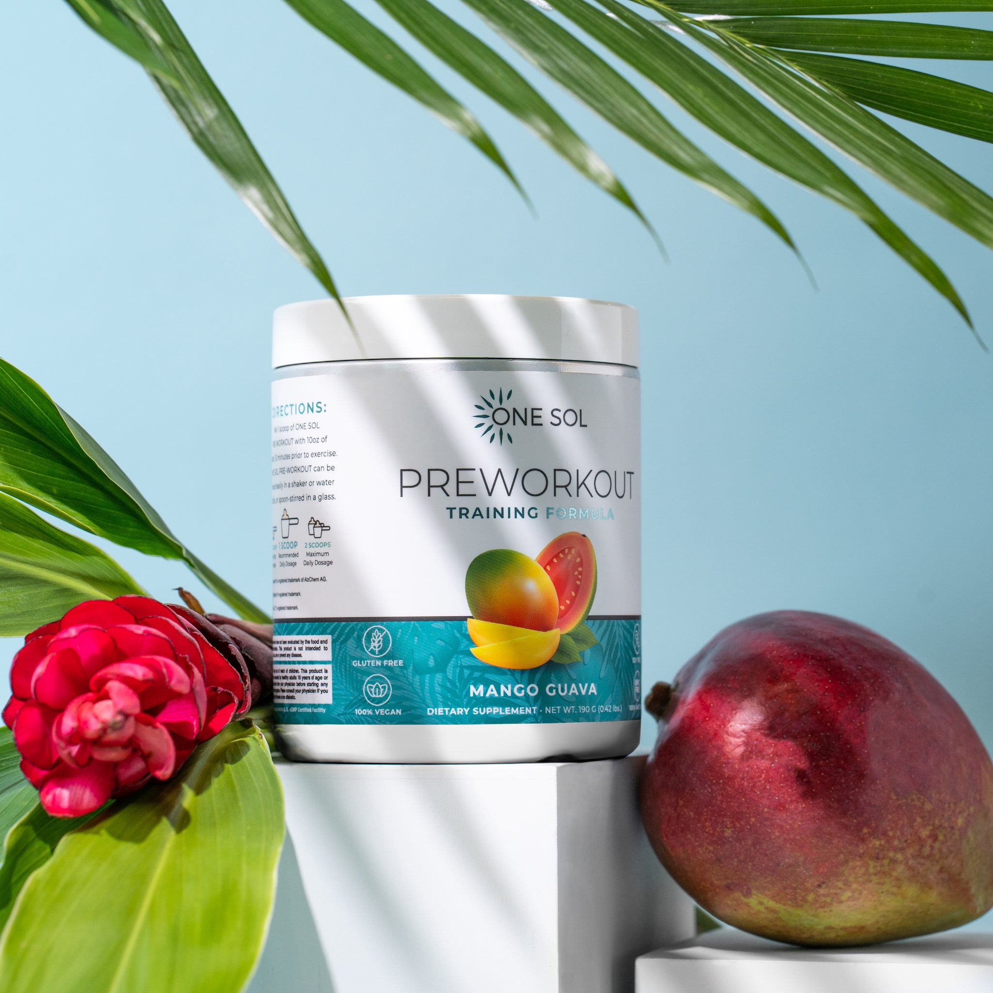 Pre Workout Training Formula – ONE SOL™ | Natural Plant Based Supplements